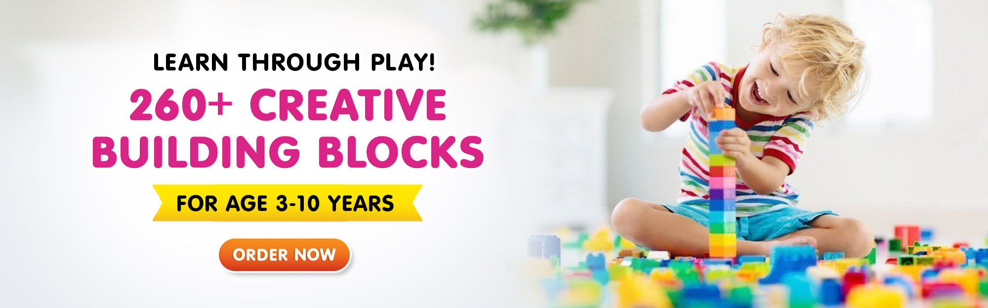 Buy Online Pendrive, Flashcards and Worksheets for All State Boards ...