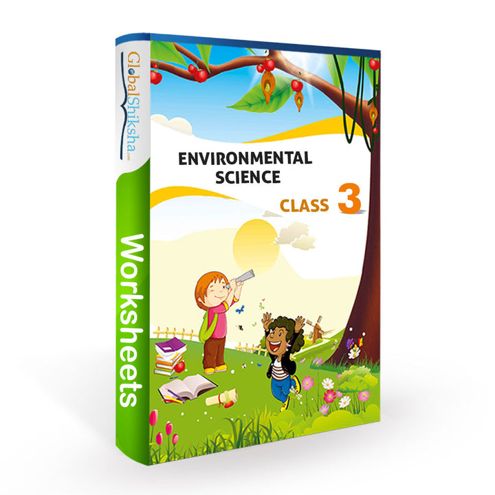 Buy GlobalShiksha English Printed Worksheets for Class 3 Kids (Grade-3 ...